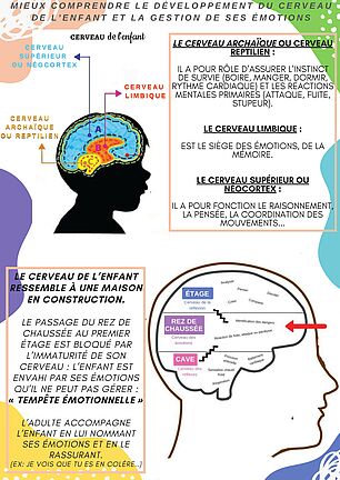 Informations sur le développement du cerveau de l'enfant et la gestion de ses émotions - Ville ...